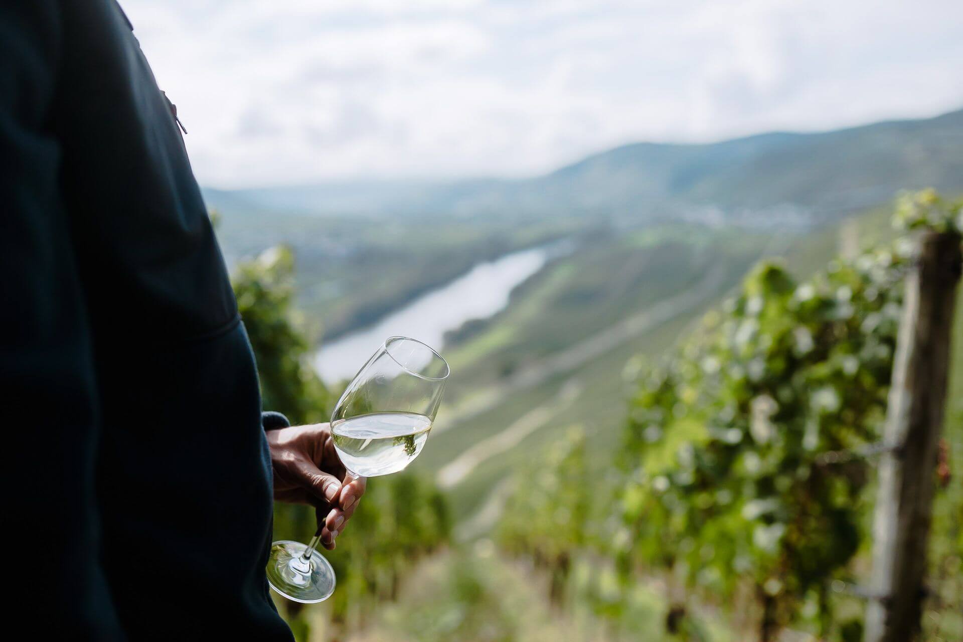Moselwein kaufen - Bester Wein von der Mosel direkt vom Winzer